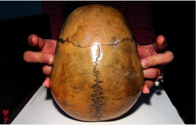 藏传佛教密宗肉莲图片