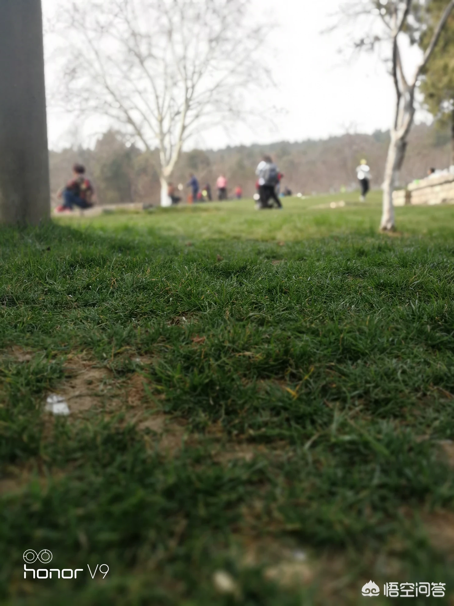 时间太多，做什么可以过得充实一些？ - 皖北吴彦祖jfuF的回答 - 头条问答