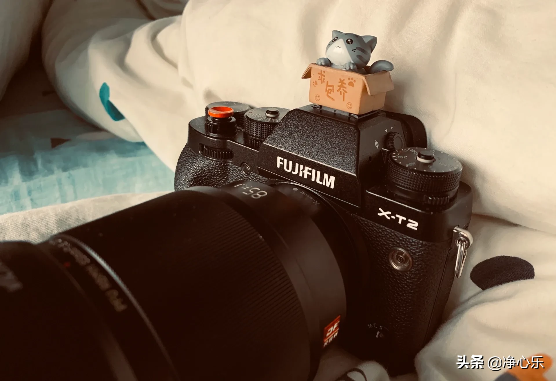 2020年选a7m2还是xt2？ - 葫芦BJ的回答 - 头条问答